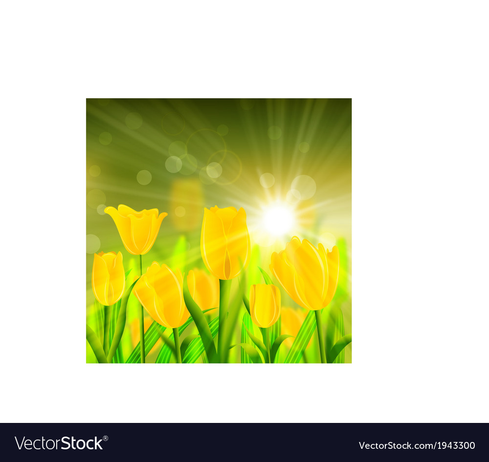 Spring background Royalty Free Vector Image - VectorStock