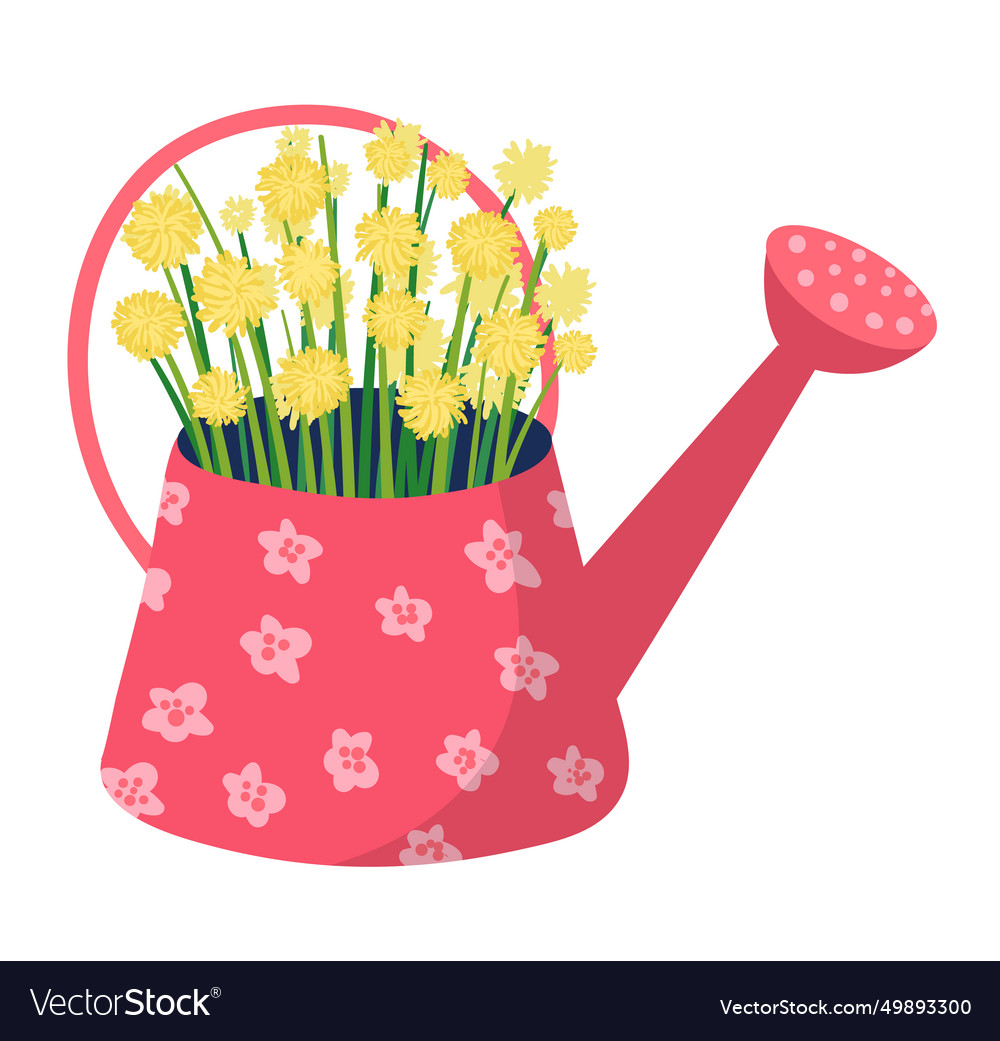 Spring watering can with garden flower springtime Vector Image