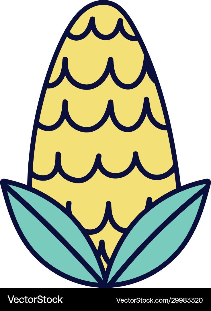 Corn grain fresh food cartoon icon style design Vector Image