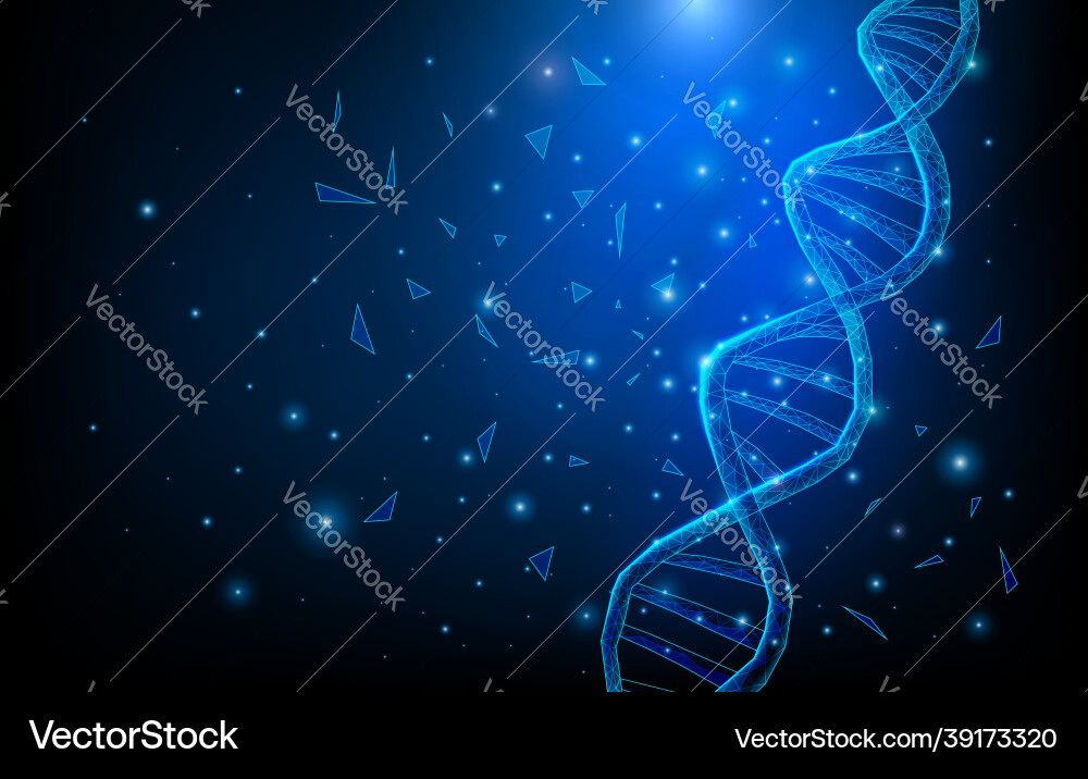 Wireframe dna molecules structure mesh low poly Vector Image
