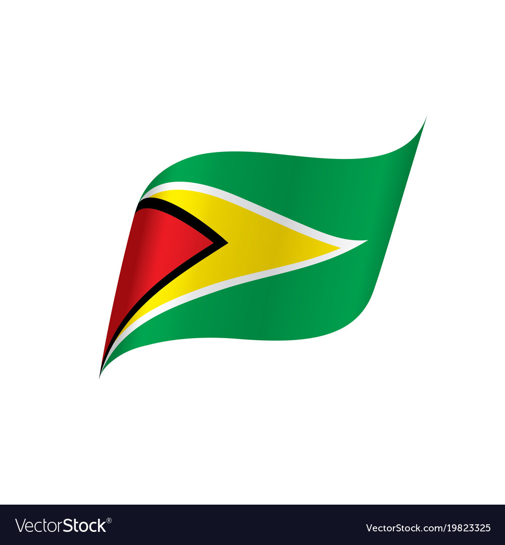Guyana flag Royalty Free Vector Image - VectorStock