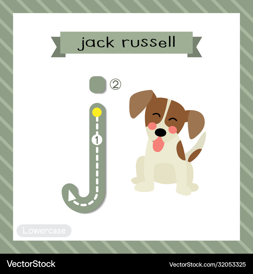 Letter j lowercase tracing sitting jack russell Vector Image