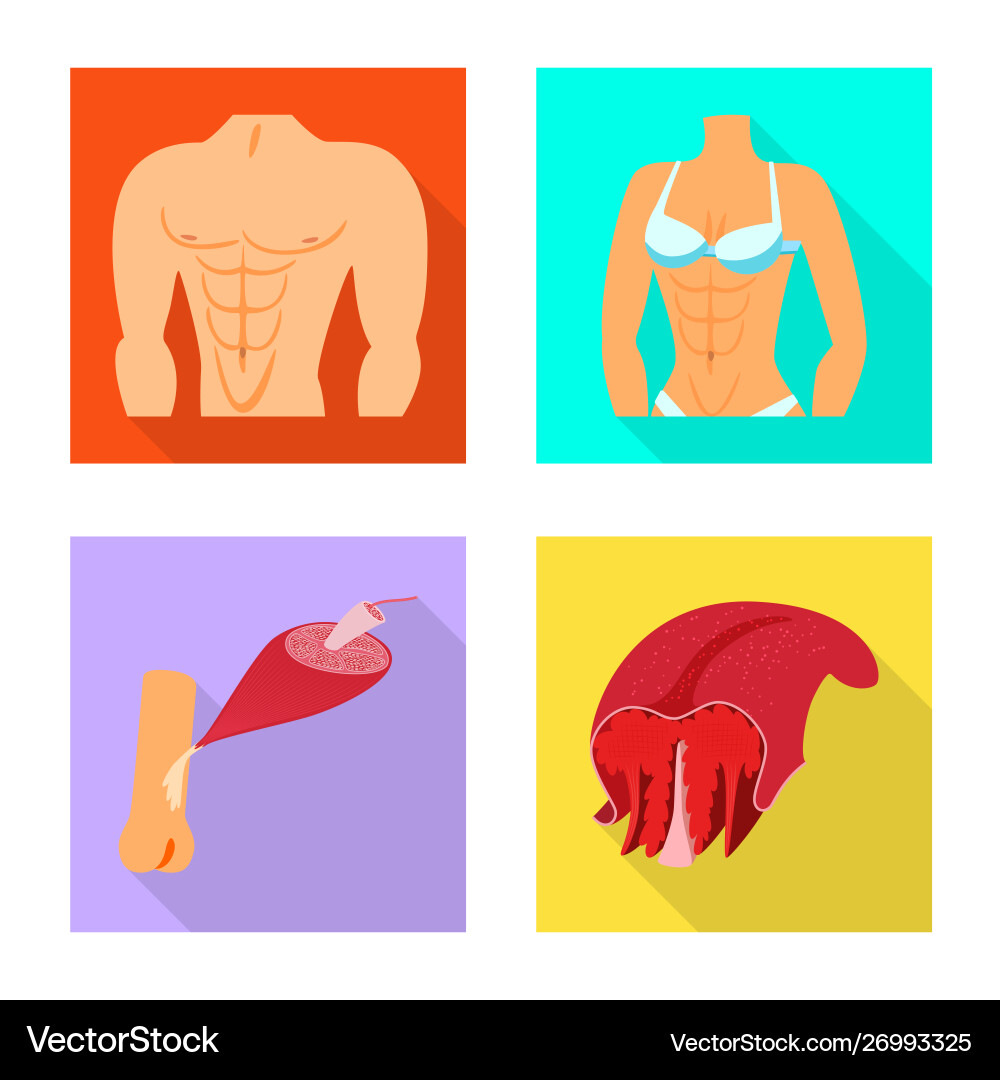 Muscle and cells icon set Royalty Free Vector Image