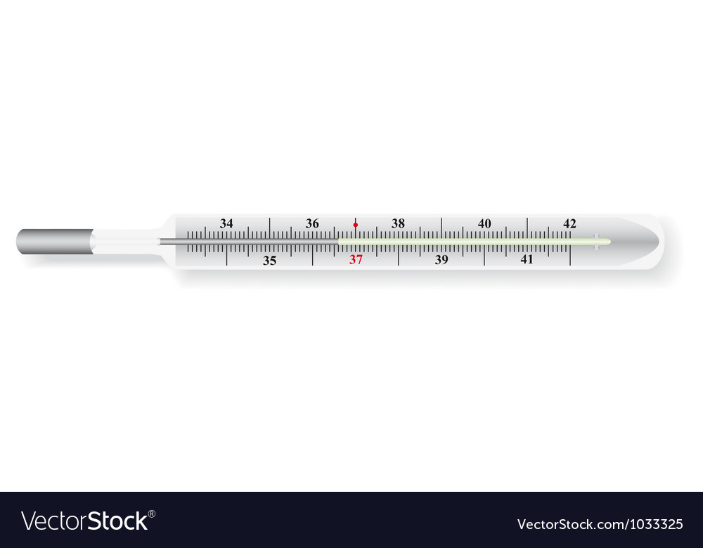 Thermometer Royalty Free Vector Image - VectorStock