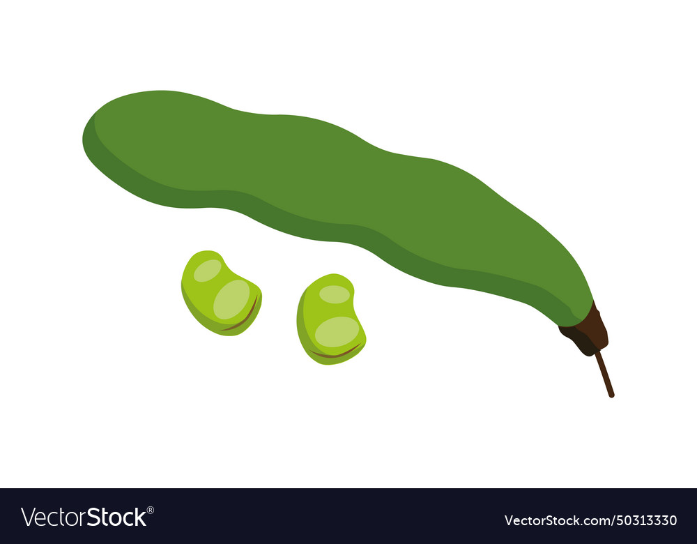 Beanstalk Royalty Free Vector Image - VectorStock