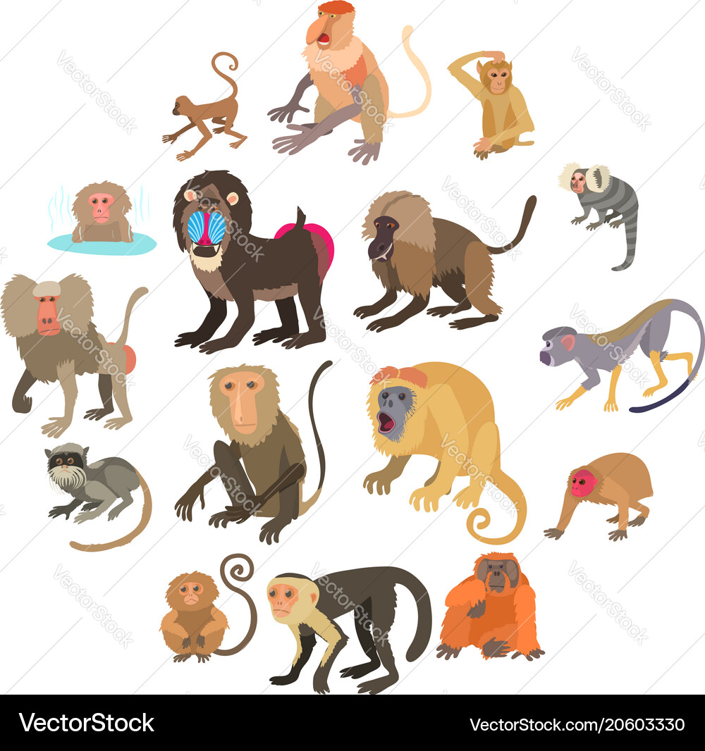 Monkeys types icons set cartoon style Royalty Free Vector