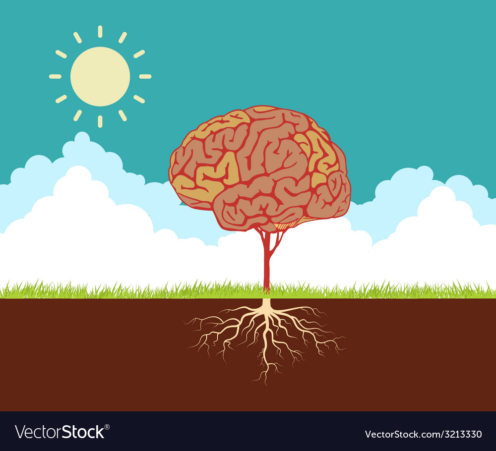 Tree brain Royalty Free Vector Image - VectorStock