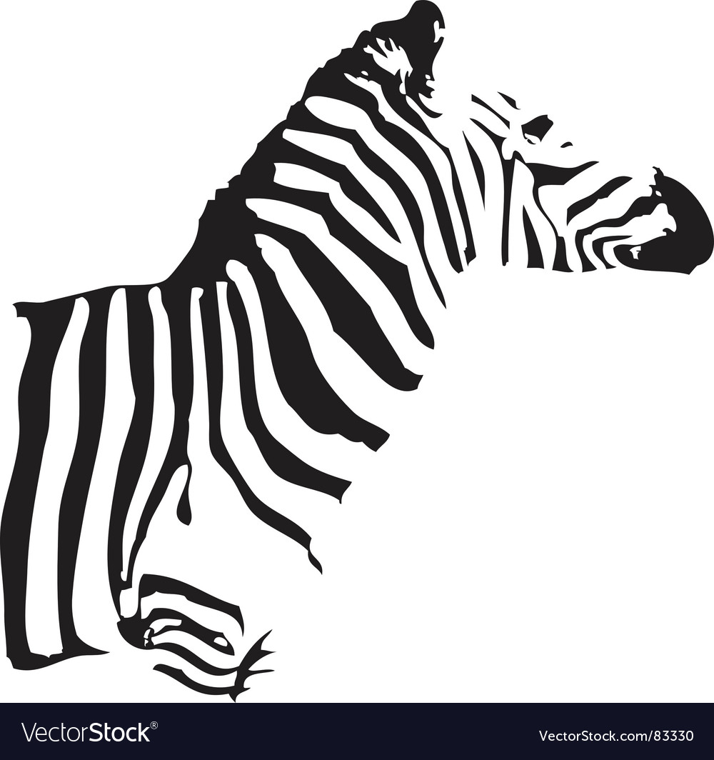Zebra Royalty Free Vector Image - VectorStock