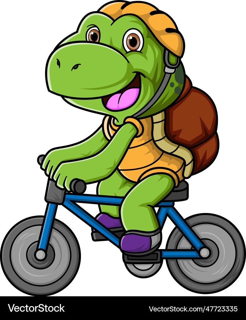 Cute turtle cartoon riding bicycle Royalty Free Vector Image