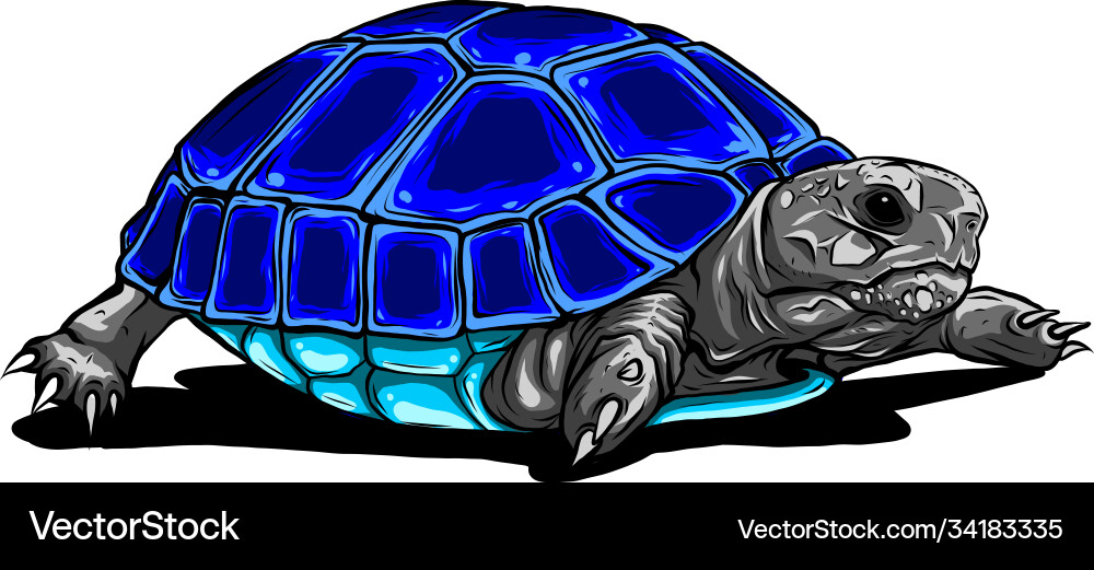 Tropical turtle icon cartoon turtle Royalty Free Vector
