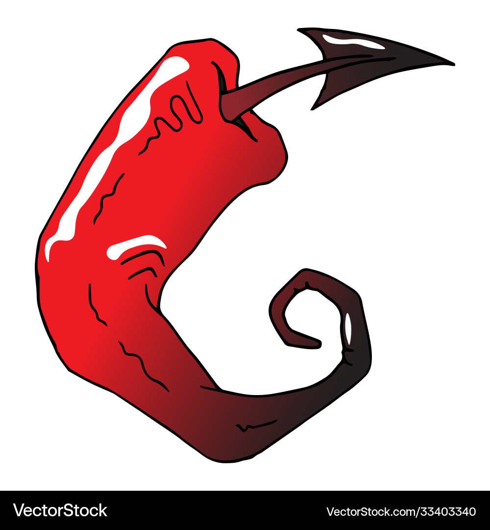 Chili pepper hot pepper bell pepper Royalty Free Vector