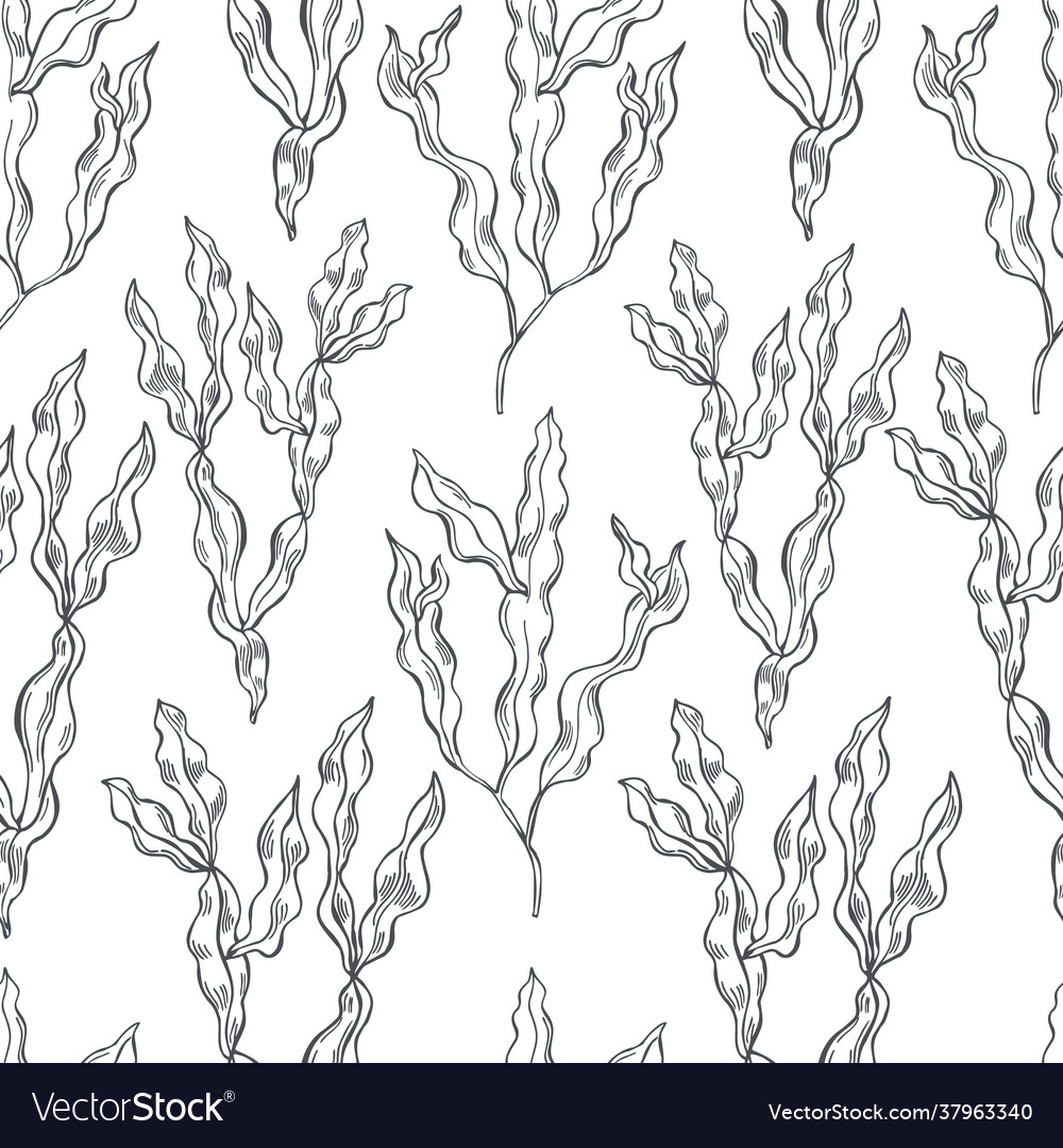 Edible algae pattern Royalty Free Vector Image