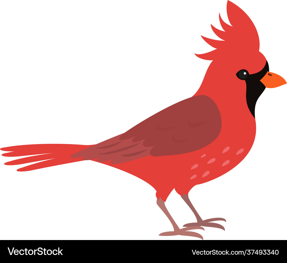 Northern red cardinal icon on white background Vector Image