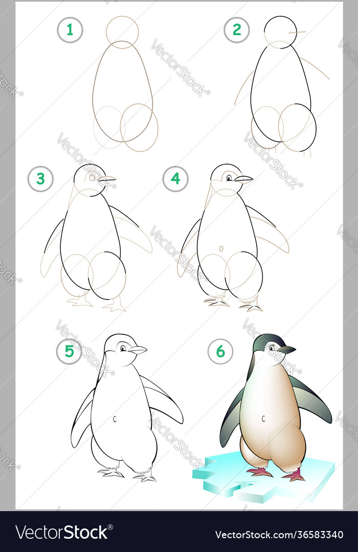 Page shows how to learn step step to draw Vector Image