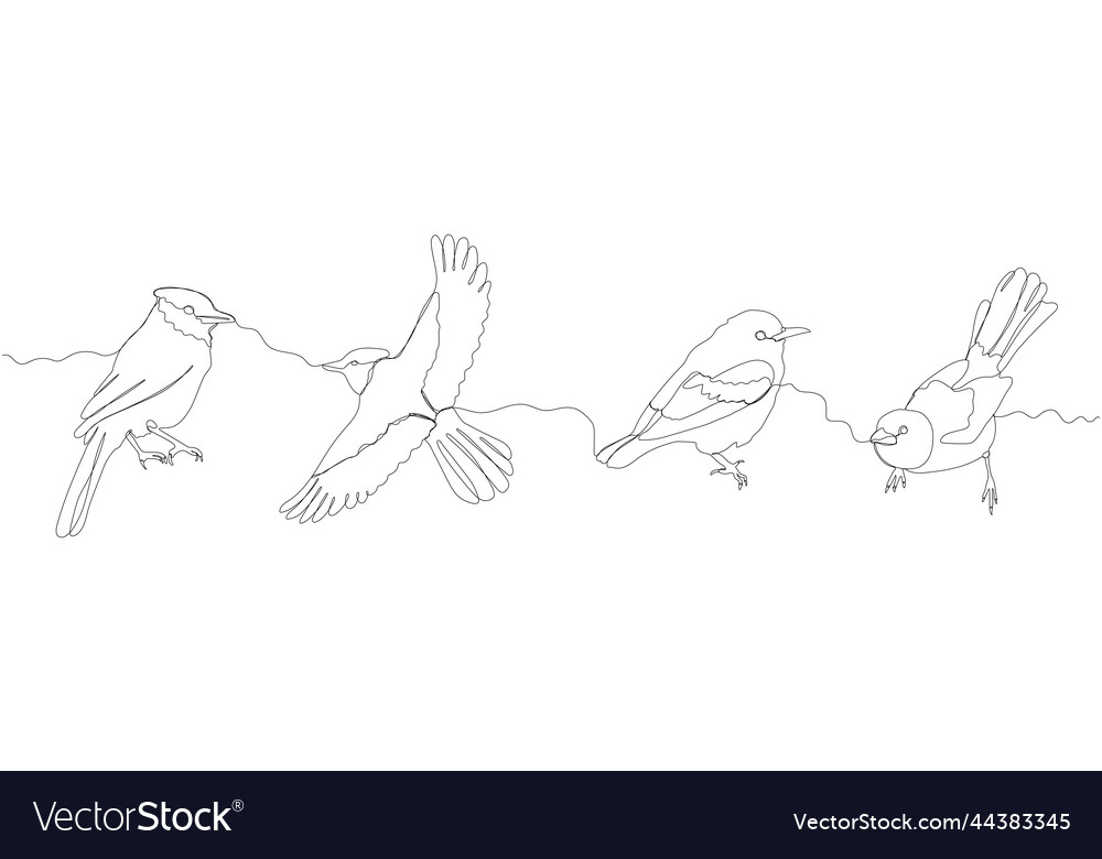 Birds border continuous single one line art style Vector Image