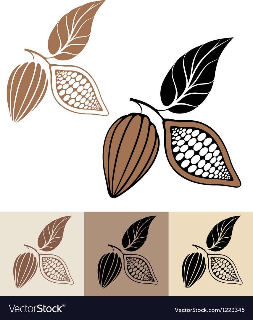 Cocoa Royalty Free Vector Image - VectorStock