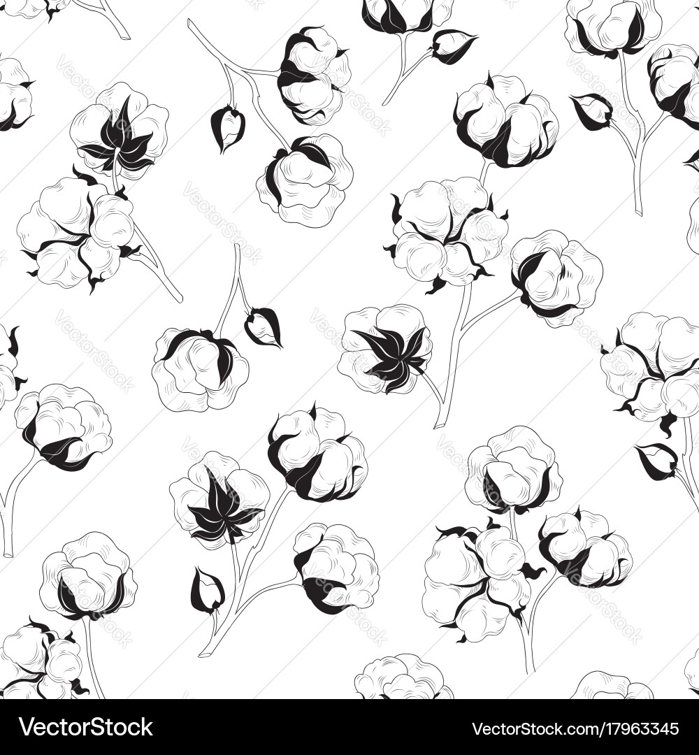 Floral seamless pattern with flower cotton nature Vector Image