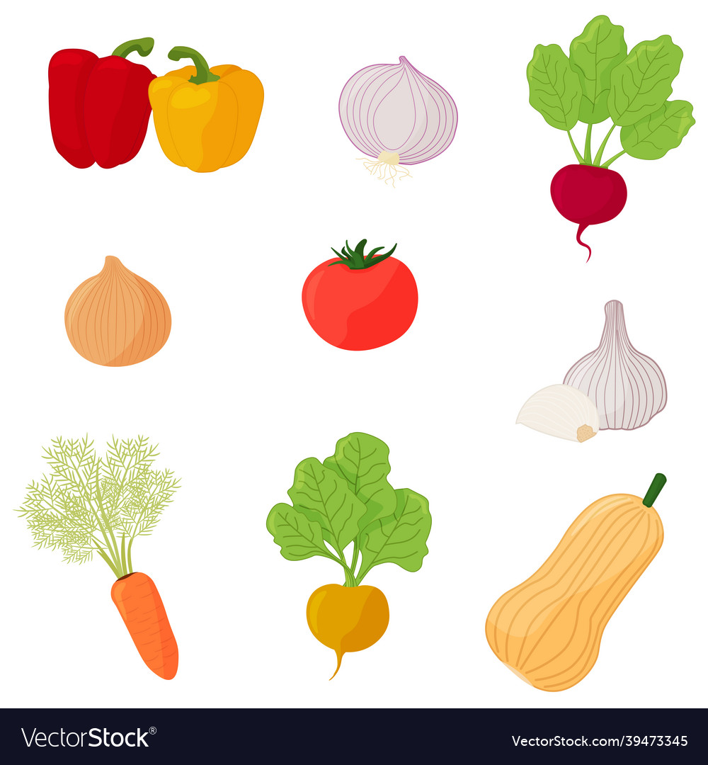 Set of vegetables Royalty Free Vector Image - VectorStock