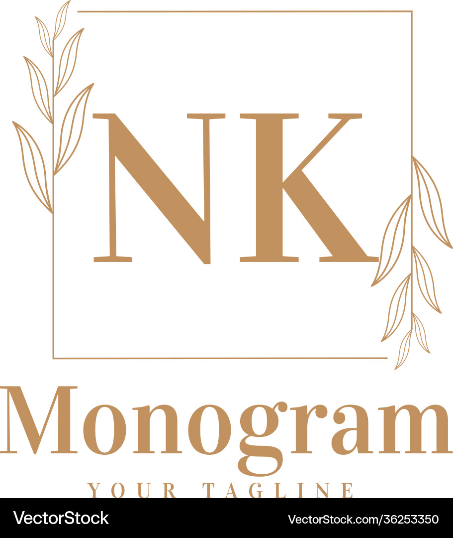 Nk initial a logo design with feminine style Vector Image