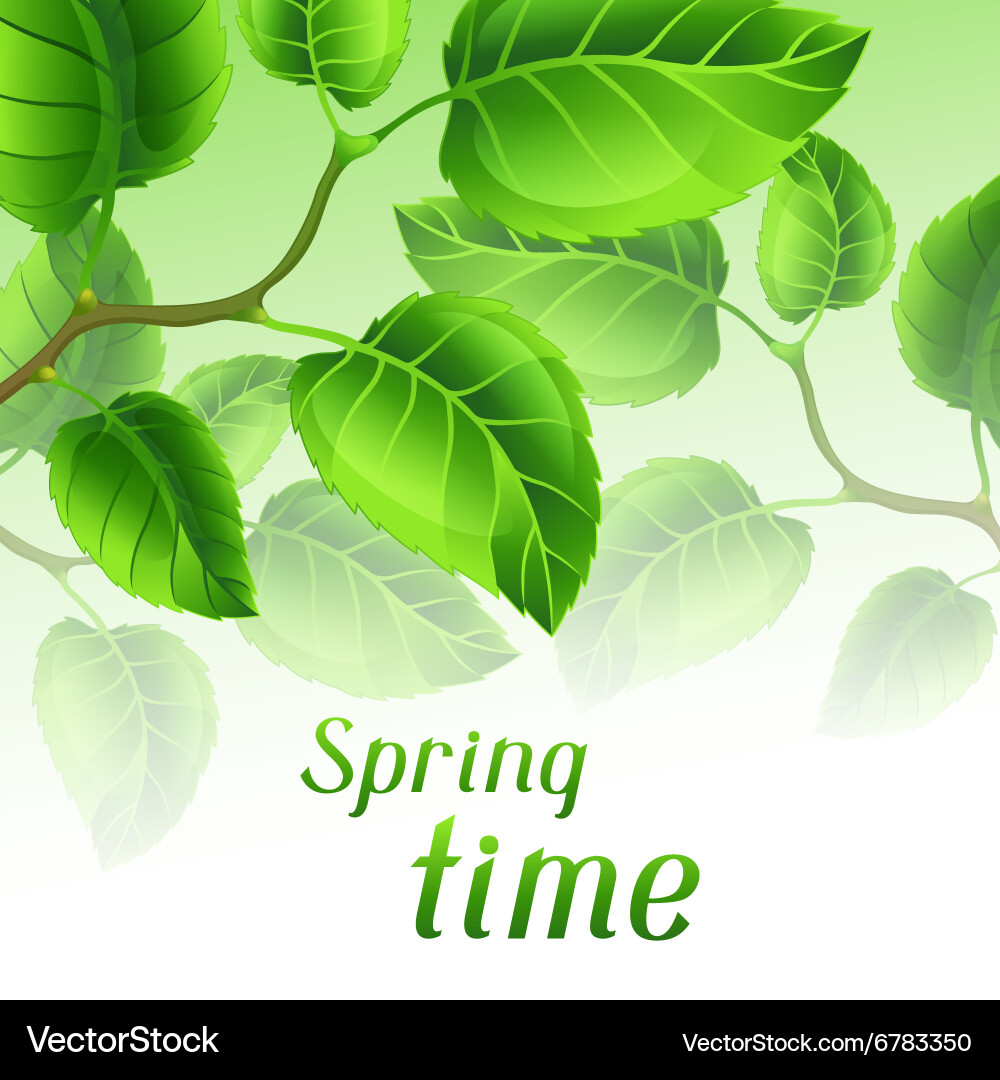 Spring time with branches of green Royalty Free Vector Image