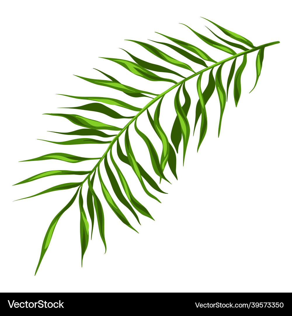 Stylized of palm branch image Royalty Free Vector Image