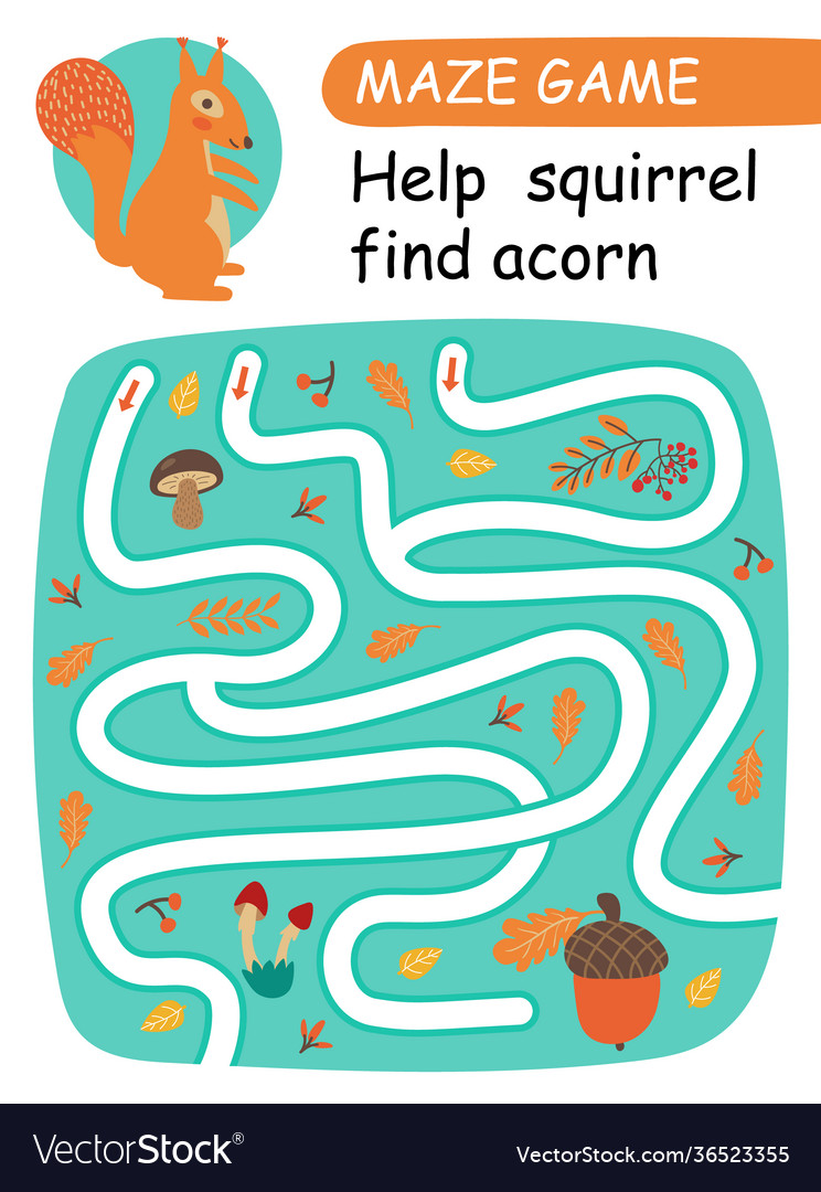 Help squirrel find acorn maze game for kids Vector Image