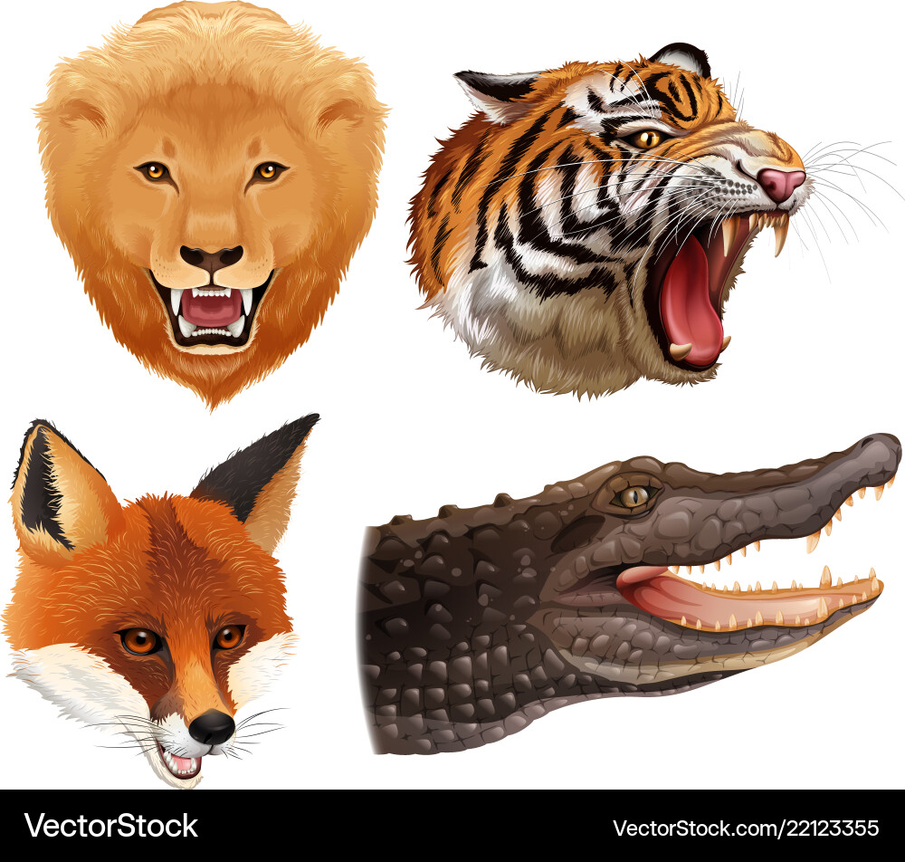 Set of animals heads Royalty Free Vector Image