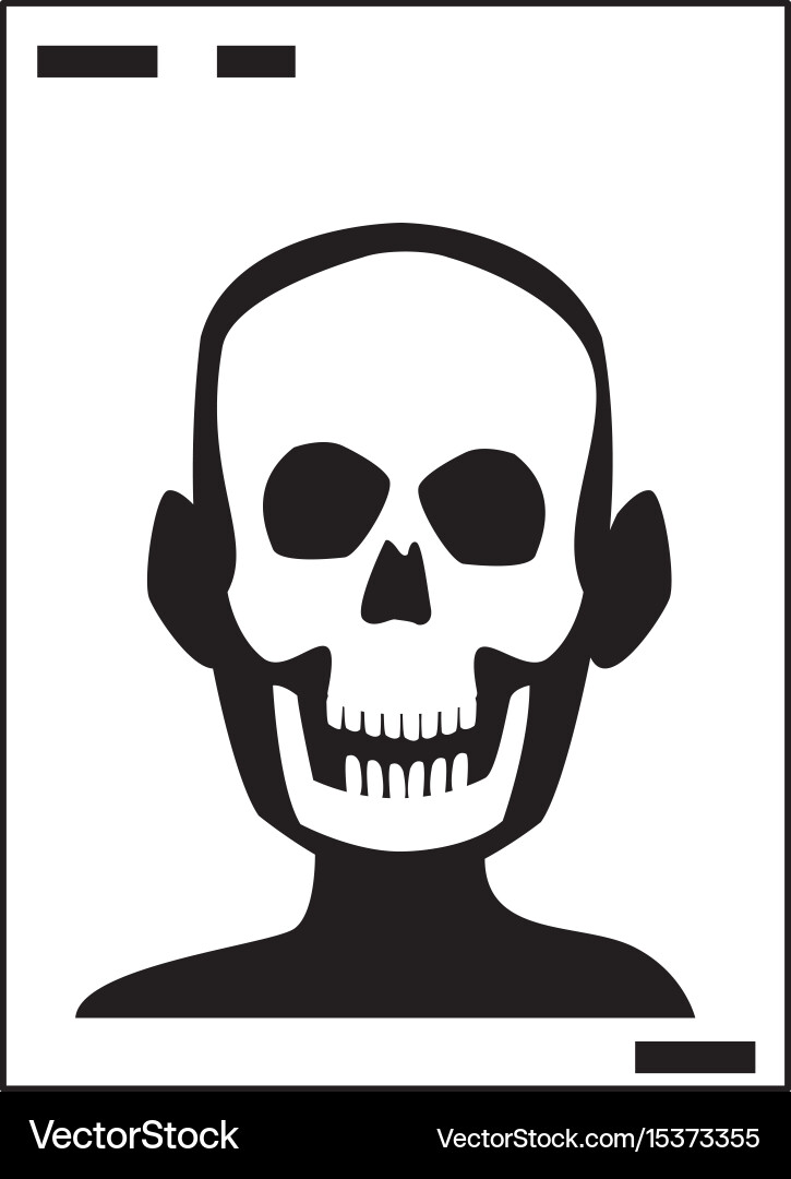 Xray of head bone structure human medical Vector Image