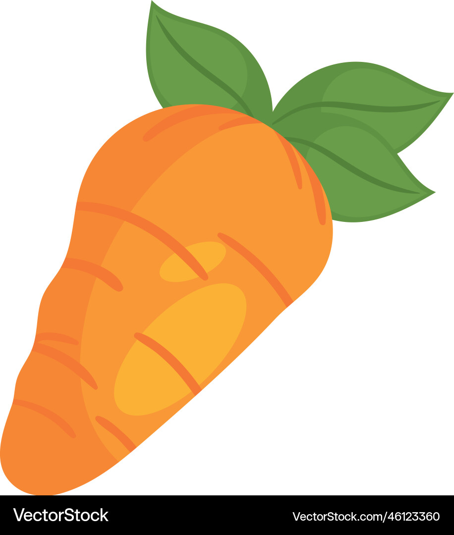 Carrot vegetable food Royalty Free Vector Image
