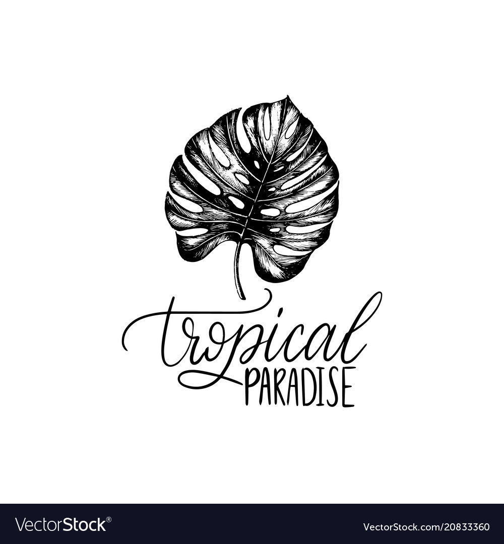 Hand lettering poster with text tropical paradise Vector Image