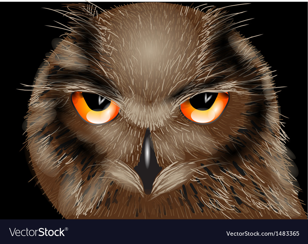 Owl Royalty Free Vector Image - VectorStock