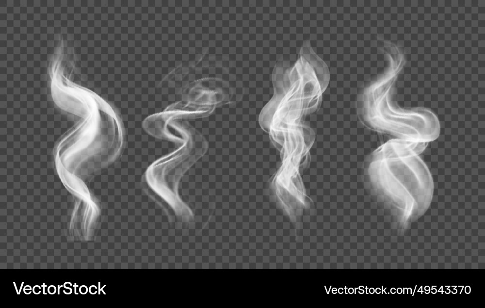White wavy smoke isolated on transparent Vector Image