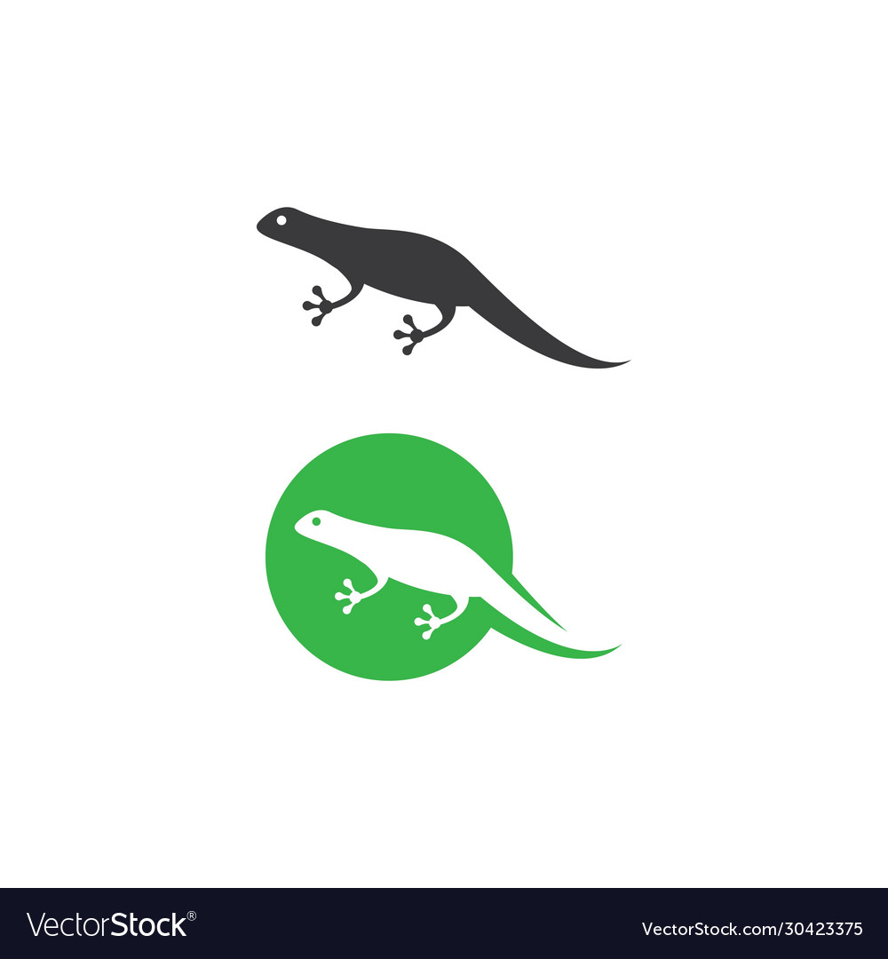 Lizard icon design Royalty Free Vector Image - VectorStock