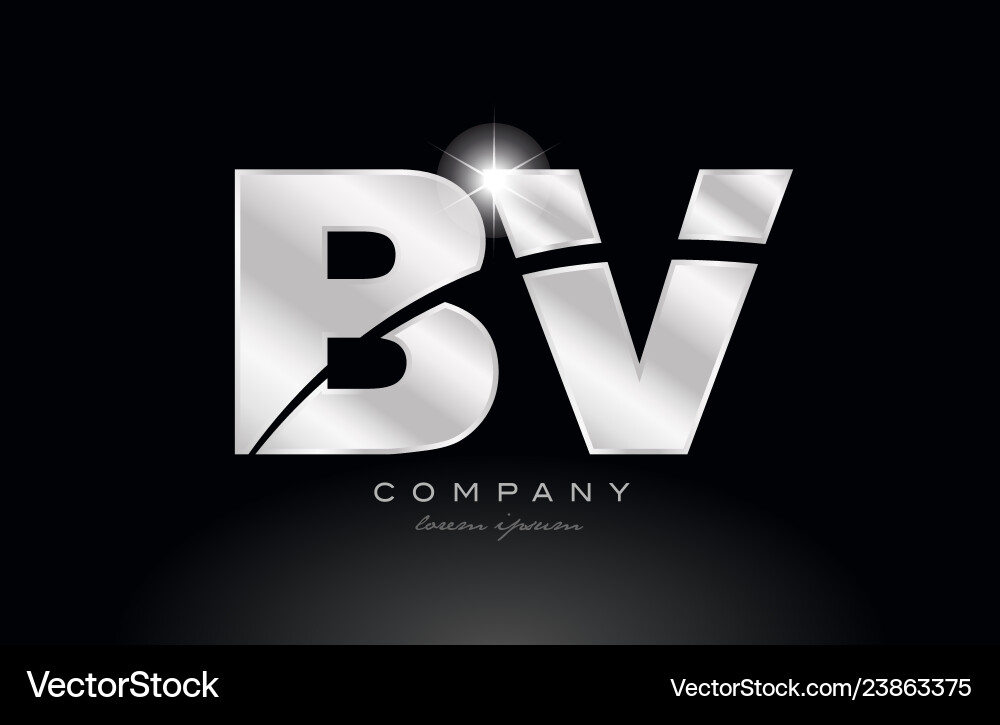 Silver letter bv b v metal combination alphabet Vector Image