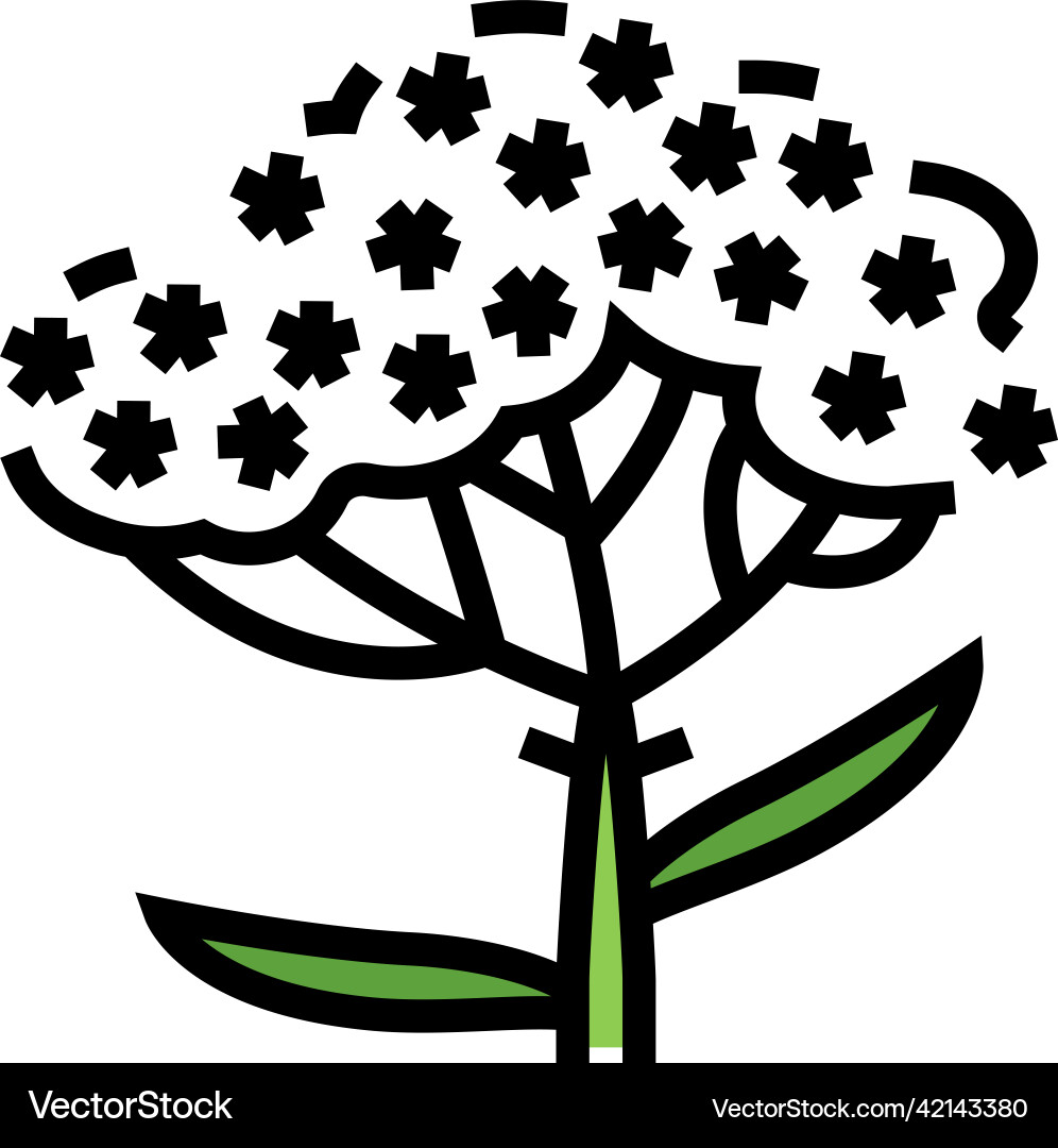 Yarrow plant color icon Royalty Free Vector Image