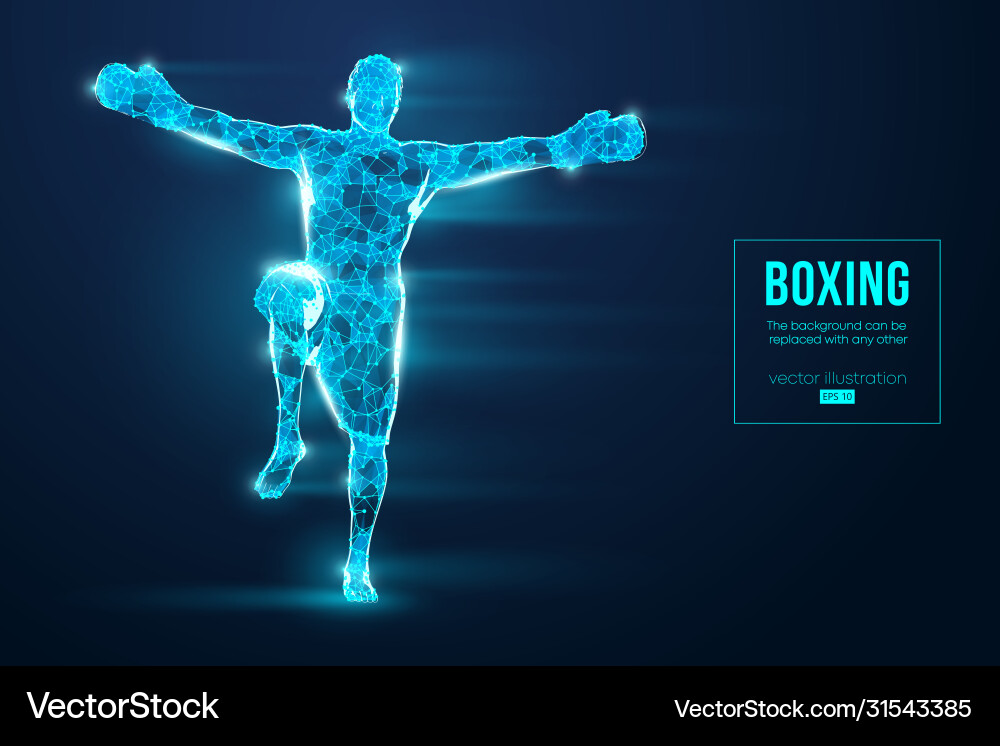 Silhouette a boxer fighter with boxing gloves Vector Image