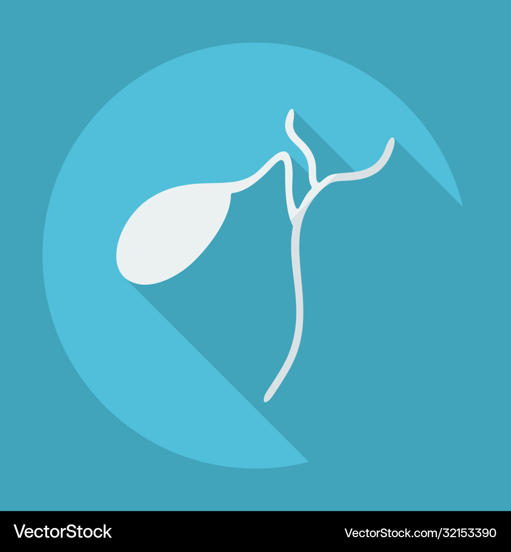 Flat modern design with shadow icons spleen Vector Image