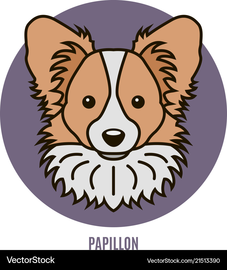 Portrait of papillon Royalty Free Vector Image
