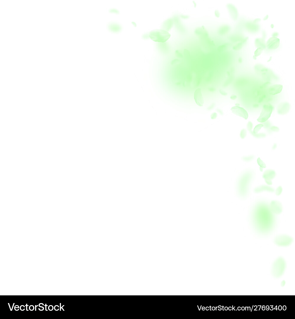 Green flower petals falling down extra romantic f Vector Image