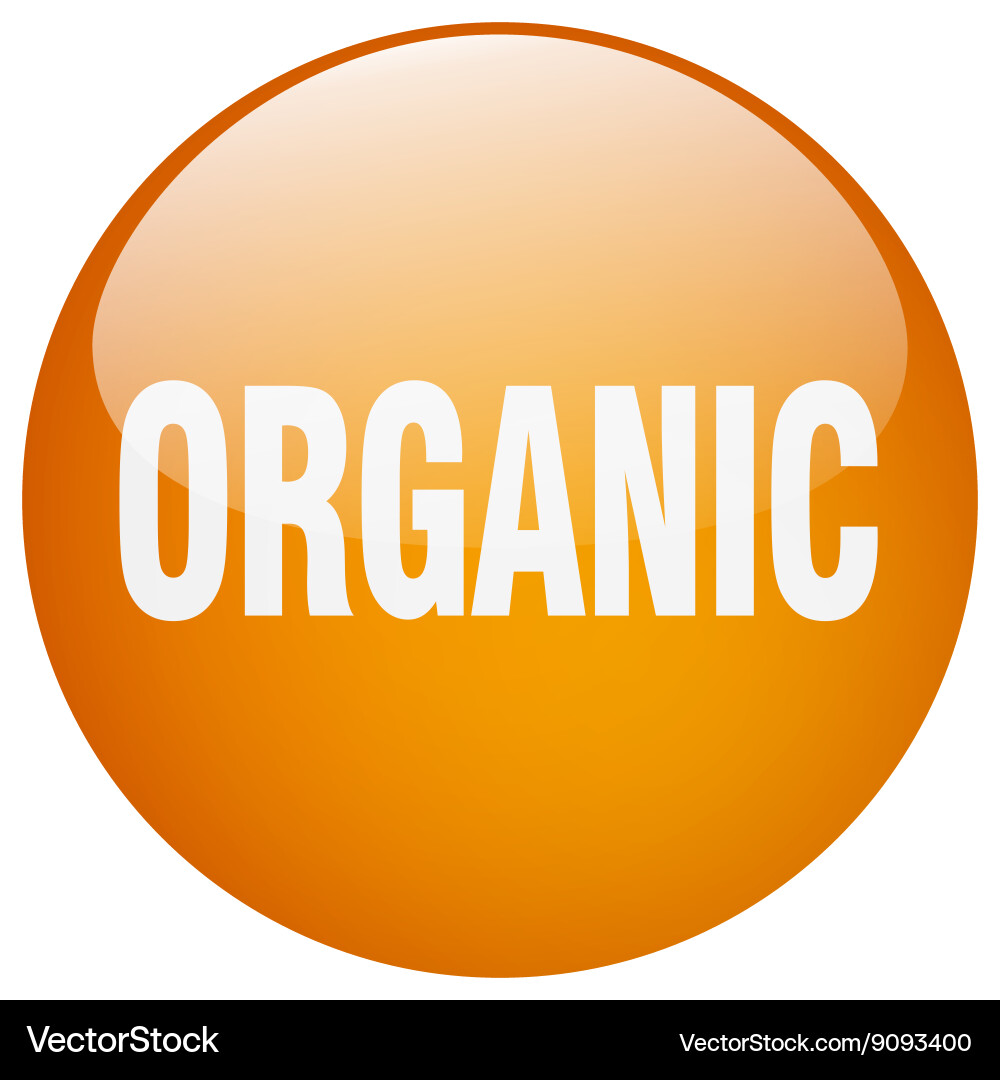 Organic orange round gel isolated push button Vector Image