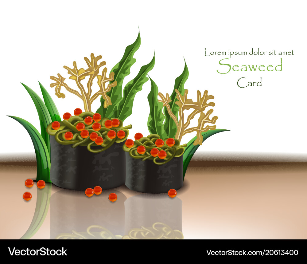 Seaweed and caviar realistic 3d Royalty Free Vector Image