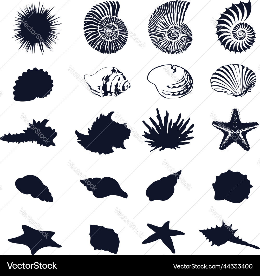 Set of sea shells silhouettes Royalty Free Vector Image