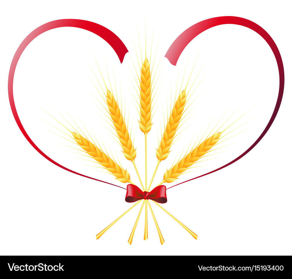 Spikelets bow heart a bountiful harvest Royalty Free Vector