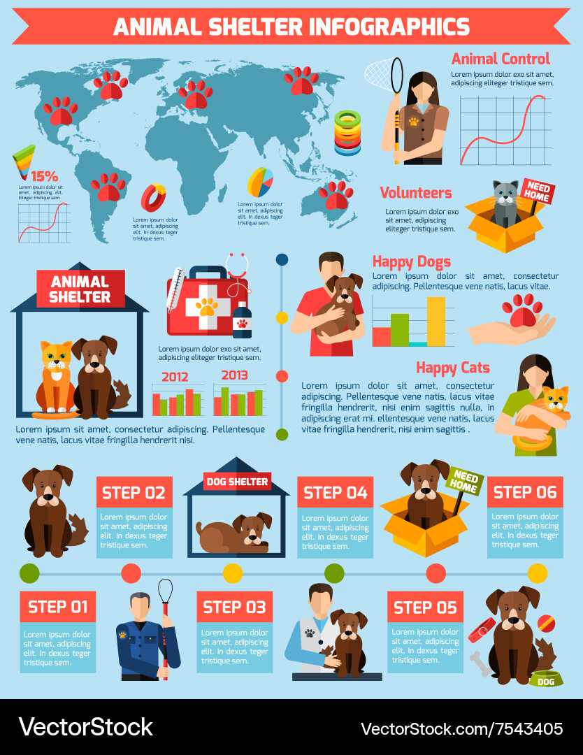 Animal shelter infographics Royalty Free Vector Image