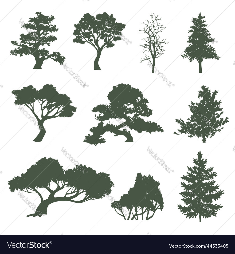 Set of trees 10 pieces Royalty Free Vector Image