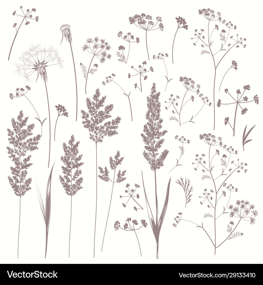 Collection beautiful cactus flowers in Royalty Free Vector