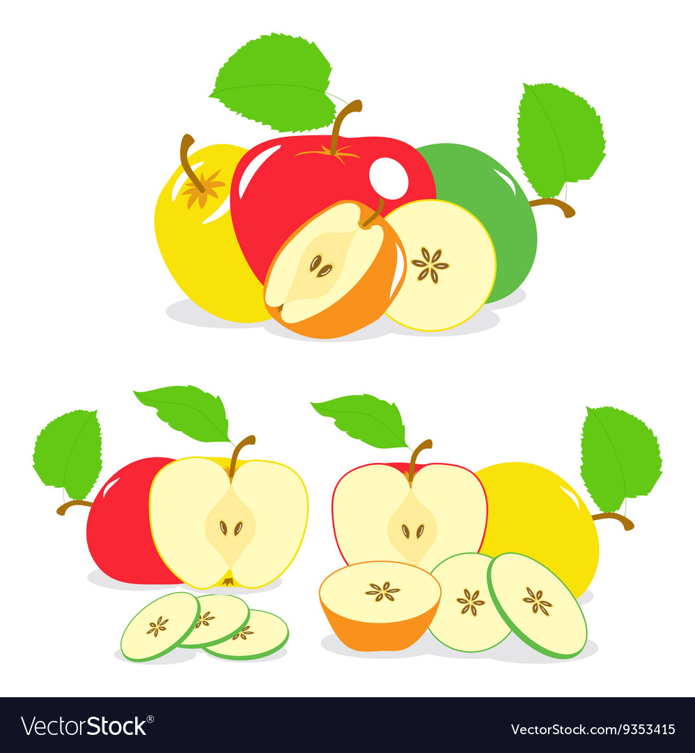 Colorful apples slices collection Royalty Free Vector Image