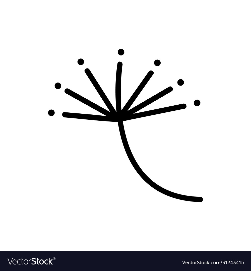 Organic fennel inflorescence icon outline Vector Image Organic fennel inflorescence icon outline Vector Image