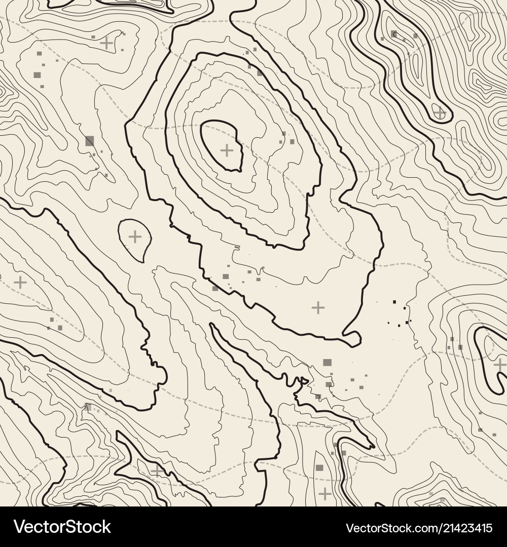 Seamless pattern topographic map background Vector Image
