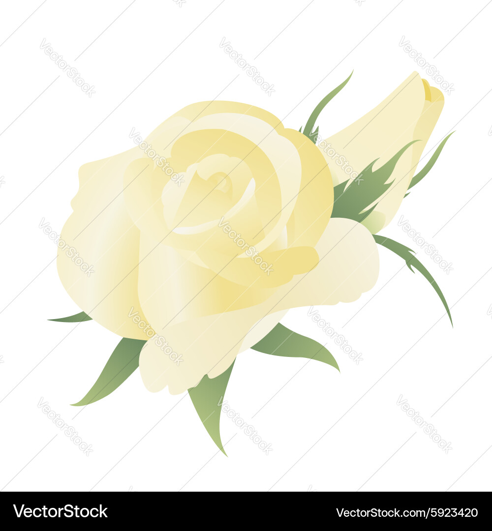 Floral background with yellow roses Royalty Free Vector